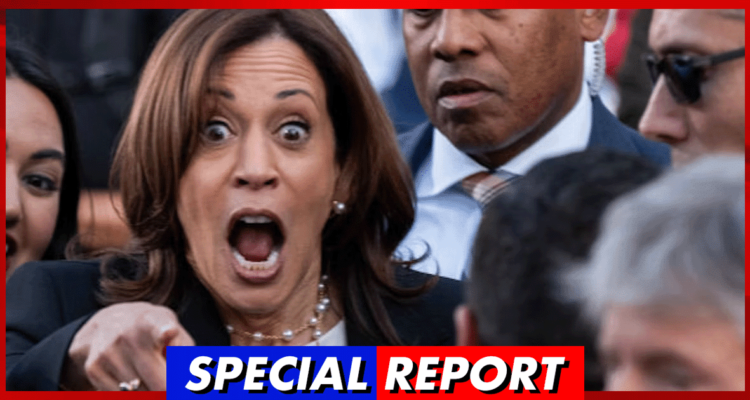Kamala Harris Criticized for Bragging About Sending Money to Lebanon ...